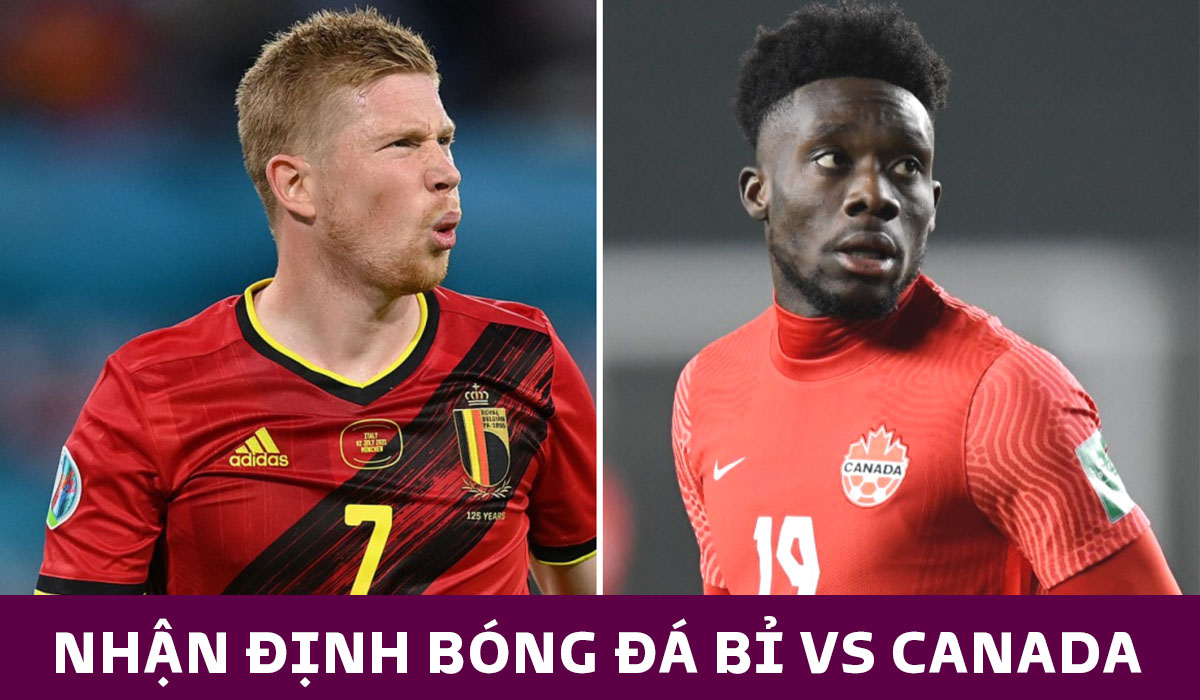 Nhận định bóng đá Bỉ vs Canada, bảng F World Cup 2022: Thế hệ vàng ĐT ...