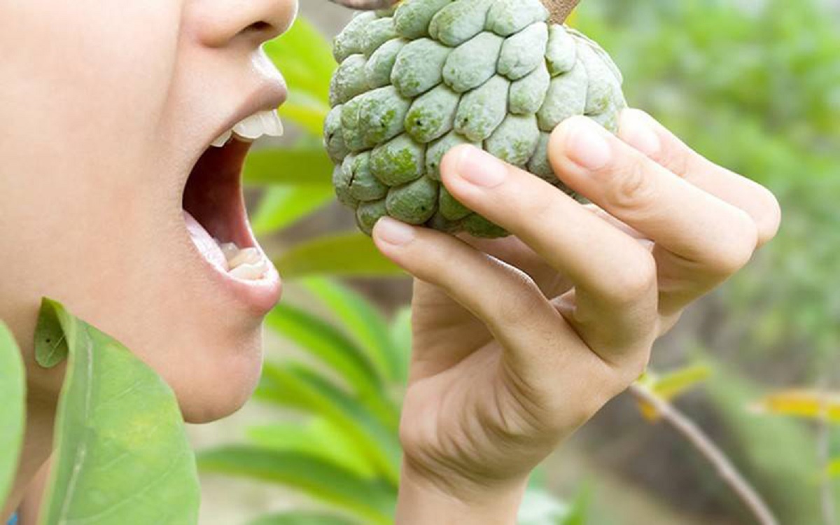 Một bộ phận bên trong quả na gây ngộ độc, thậm chí là mù mắt, 90% người ...
