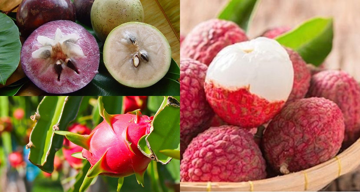 5 loại quả Việt Nam có sản lượng khủng, không bao giờ phải nhập khẩu ...