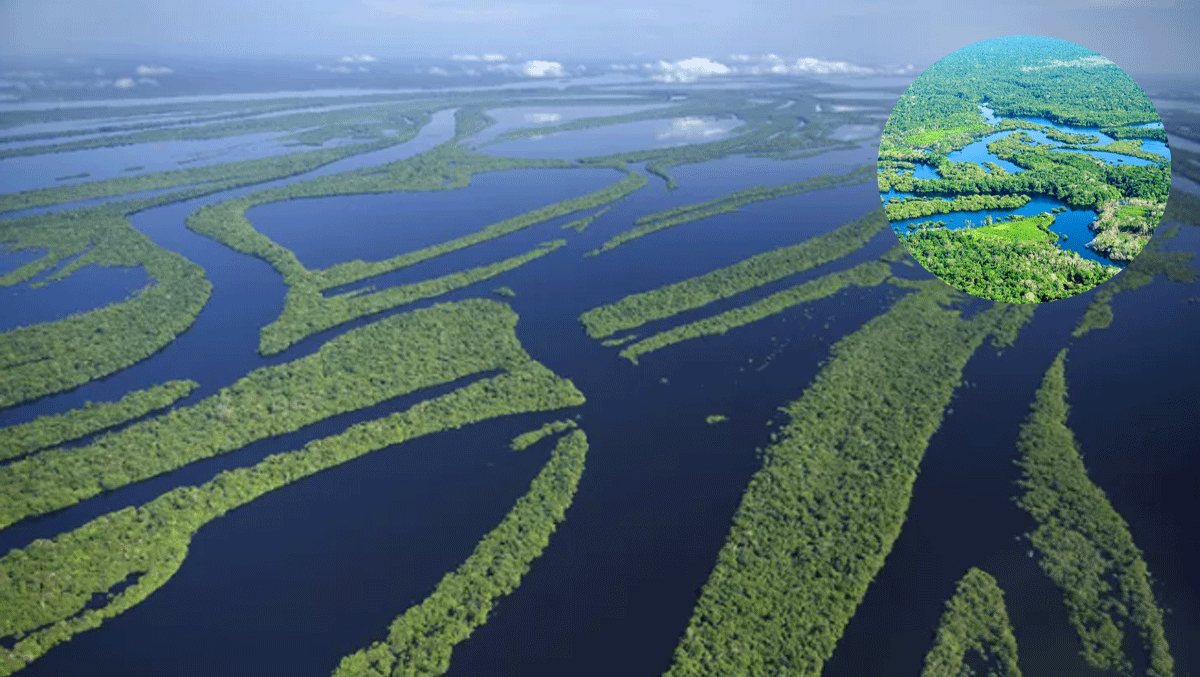 Con sông dài nhất thế giới: Chảy qua lãnh thổ 9 quốc gia nhưng không có ...