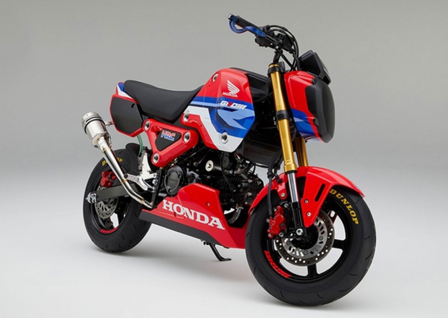 Phiên bản đường đua đầy ấn tượng của Honda MSX 2021: Ngoại hình siêu ...